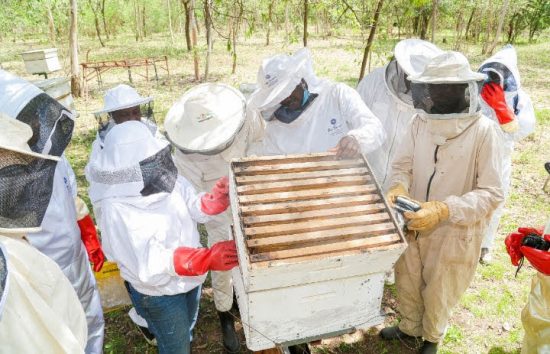 Home - MUTHOKI COUNTRY LODGE