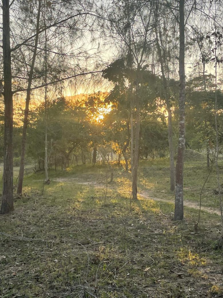 Home - MUTHOKI COUNTRY LODGE