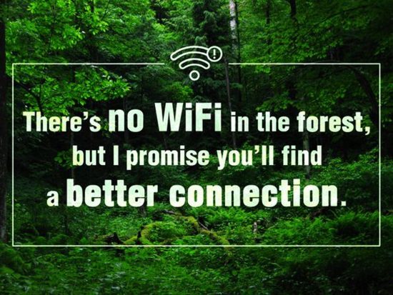 Home - MUTHOKI COUNTRY LODGE