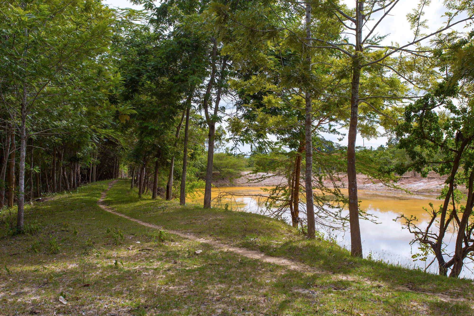 Home - MUTHOKI COUNTRY LODGE